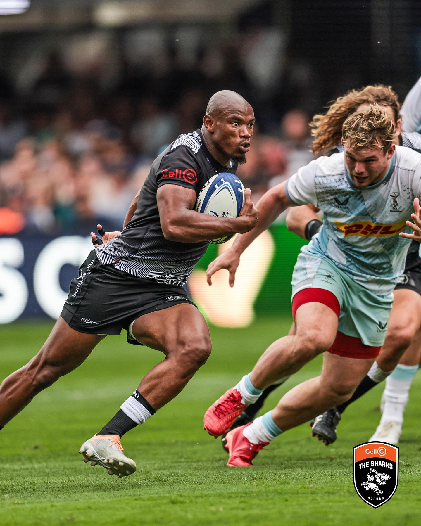 Tout ce qu'il faut savoir avant UBB - Sharks - Toutes les actus