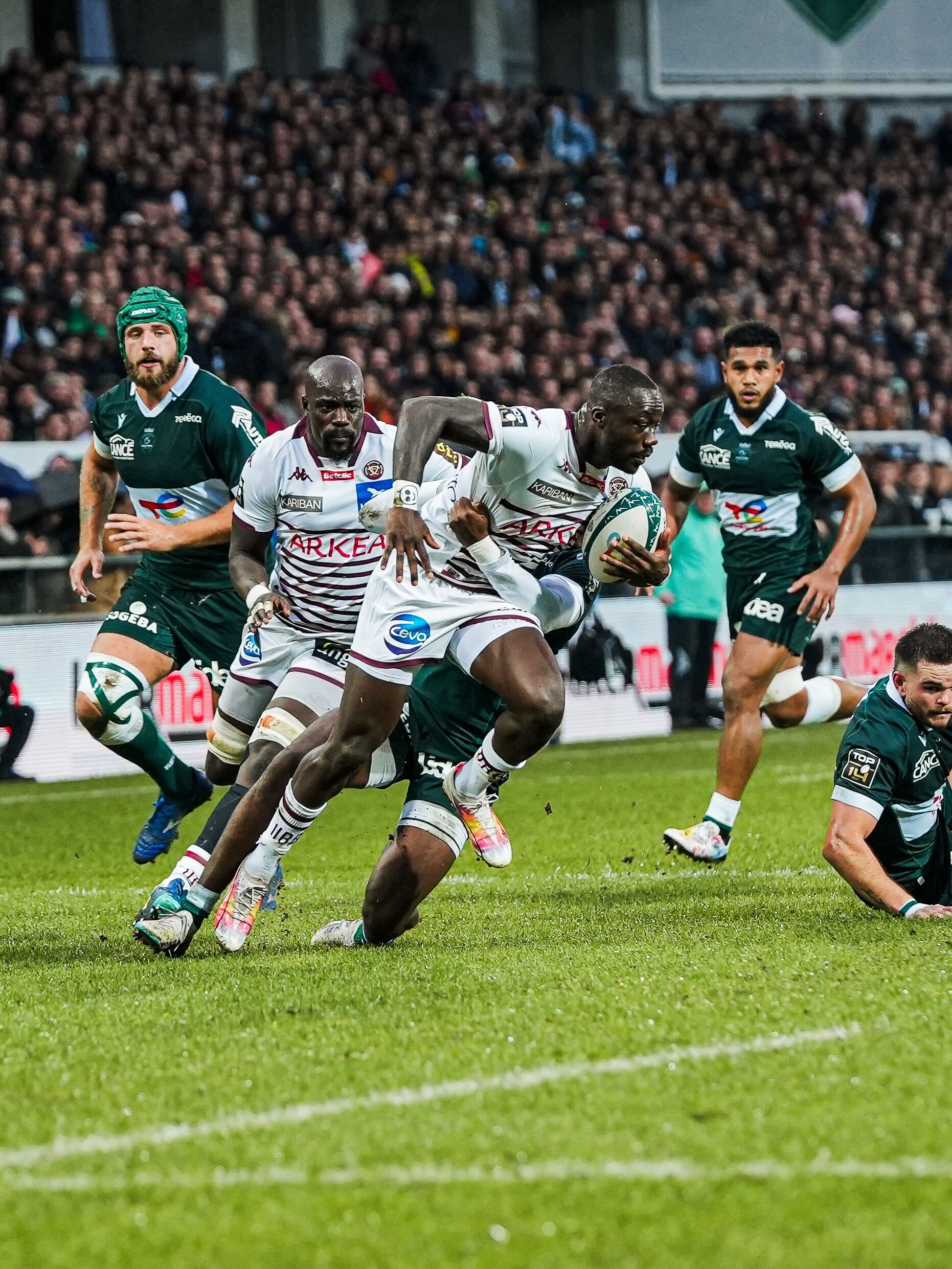 L'UBB s'incline chez le leader palois - Actualités - Union Bordeaux ...